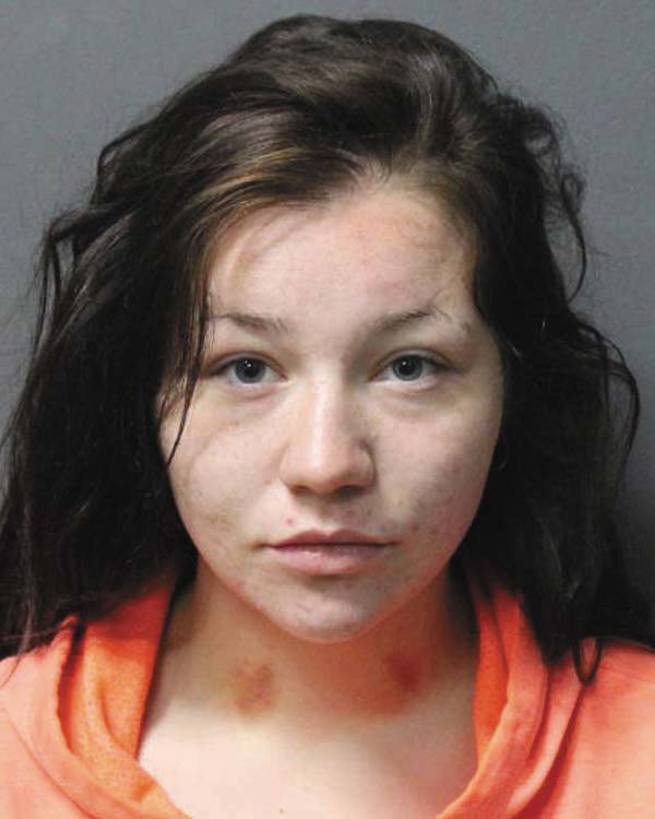 Plea deal reached in fatal hit and run | News, Sports, Jobs - Leader Herald